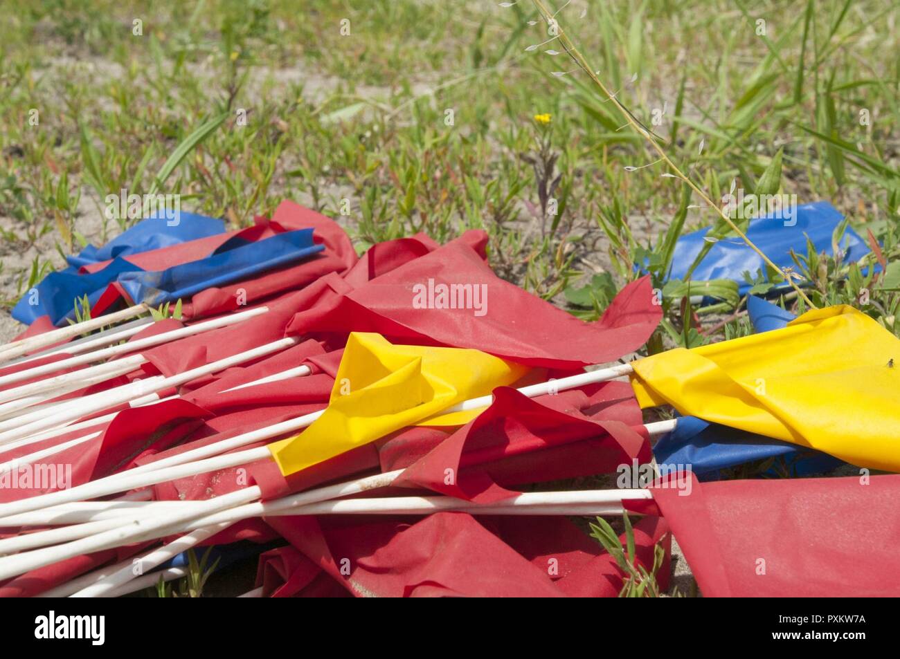 Us colored infantry flags hi-res stock photography and images - Alamy