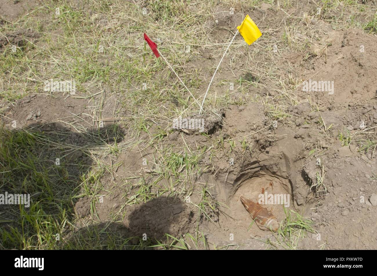 Us colored infantry flags hi-res stock photography and images - Alamy