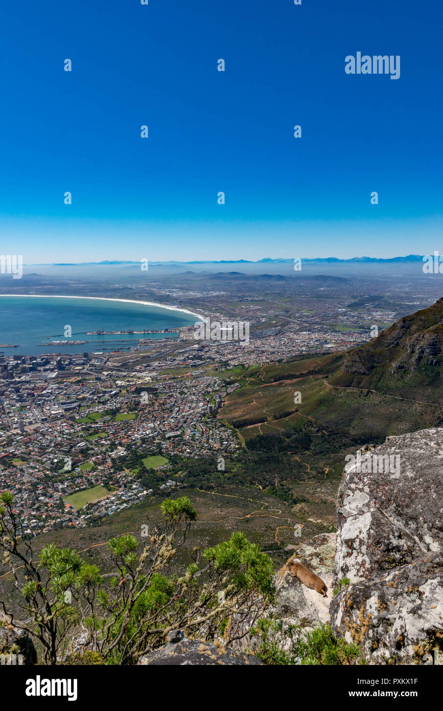 A view of Cape Town from Table Mountain, South Africa Stock Photo - Alamy