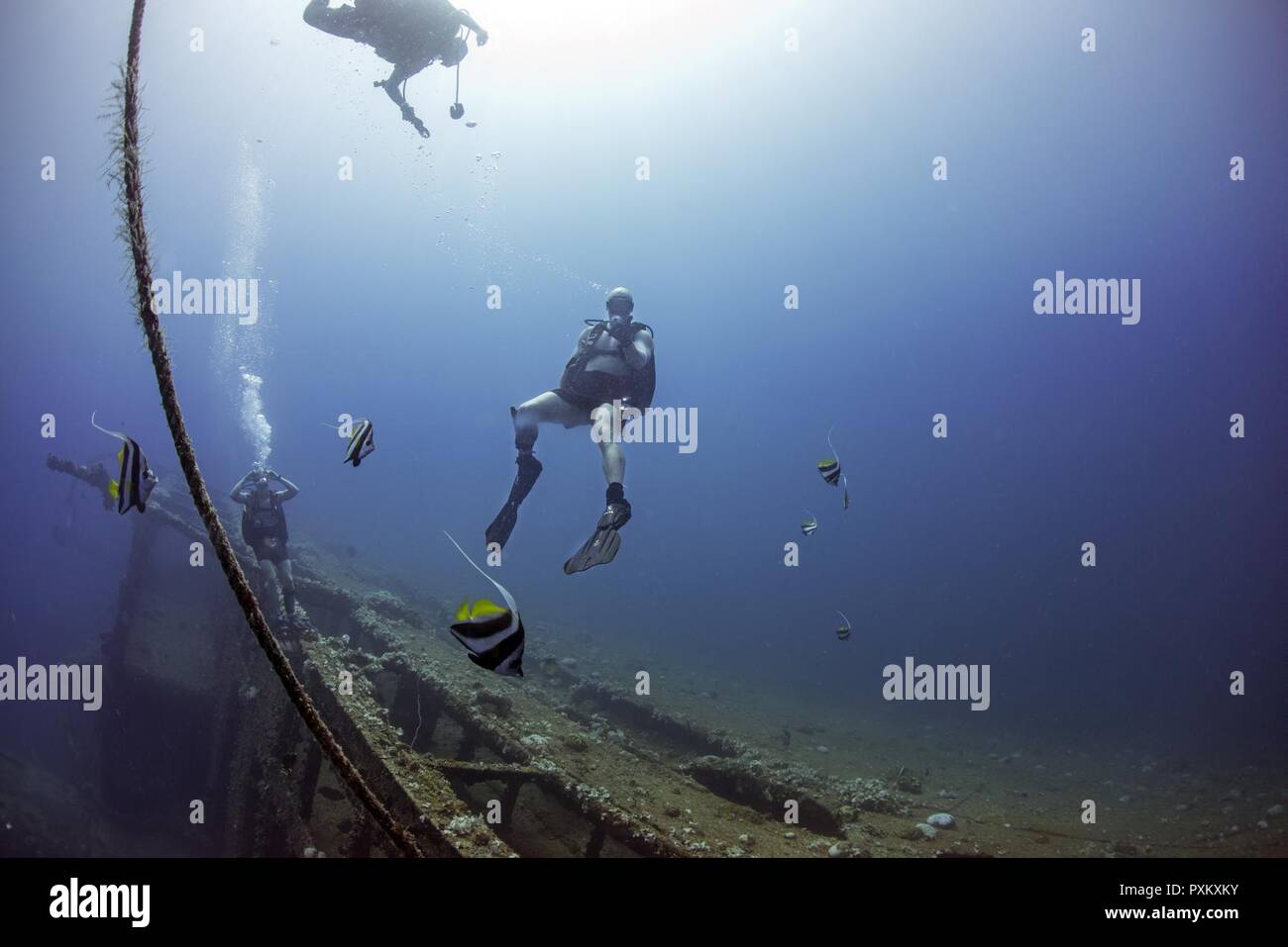 Tokai maru hi-res stock photography and images - Alamy