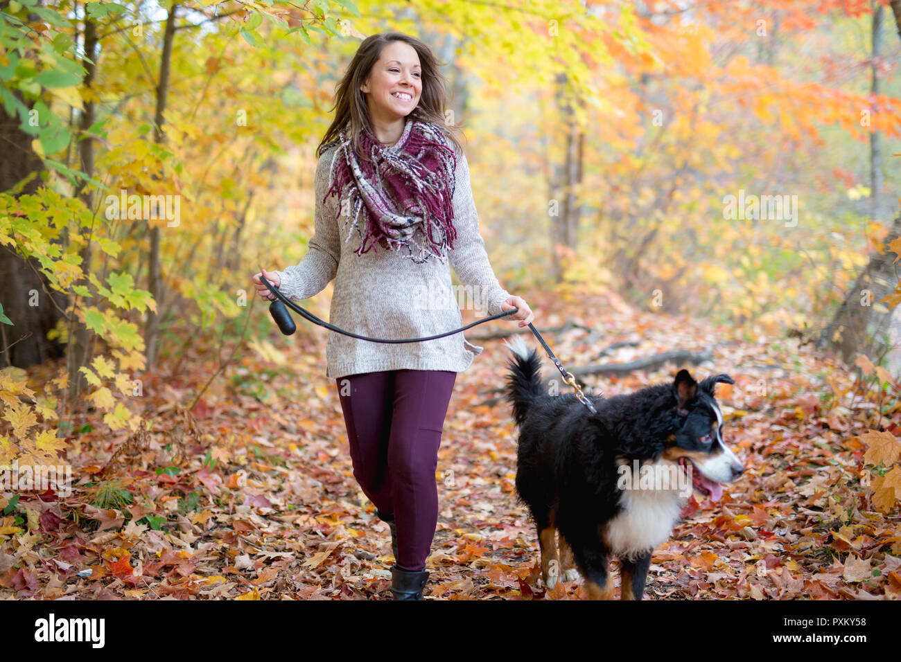 A Cute girl with her Dog in Autumn park. Bernese Mountain Dog Stock ...