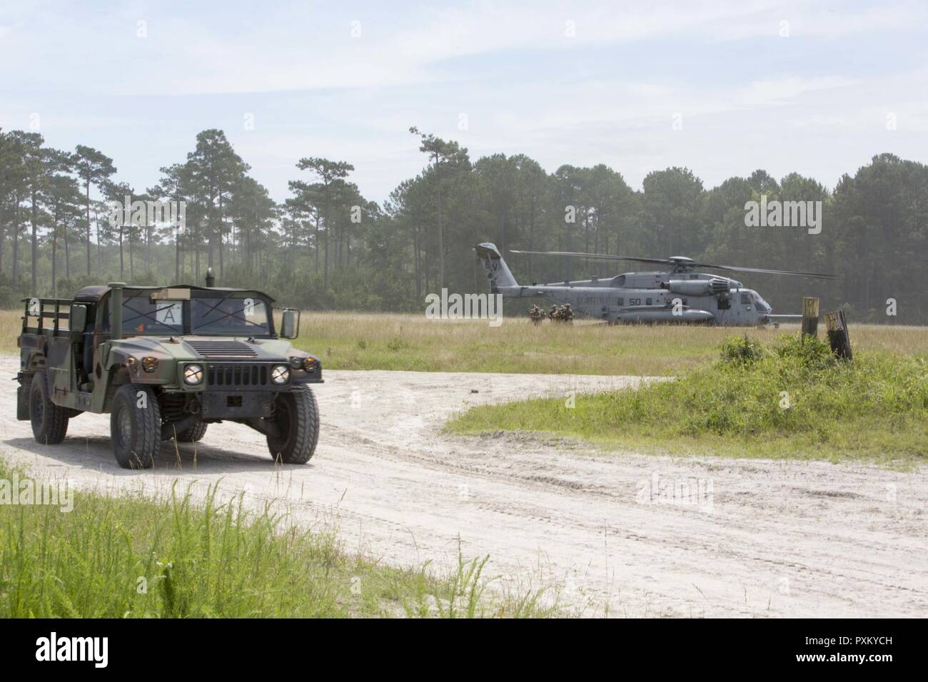 U.S. Marines with Alpha Company, 2d Combat Engineer Battalion,(2D CEB ...