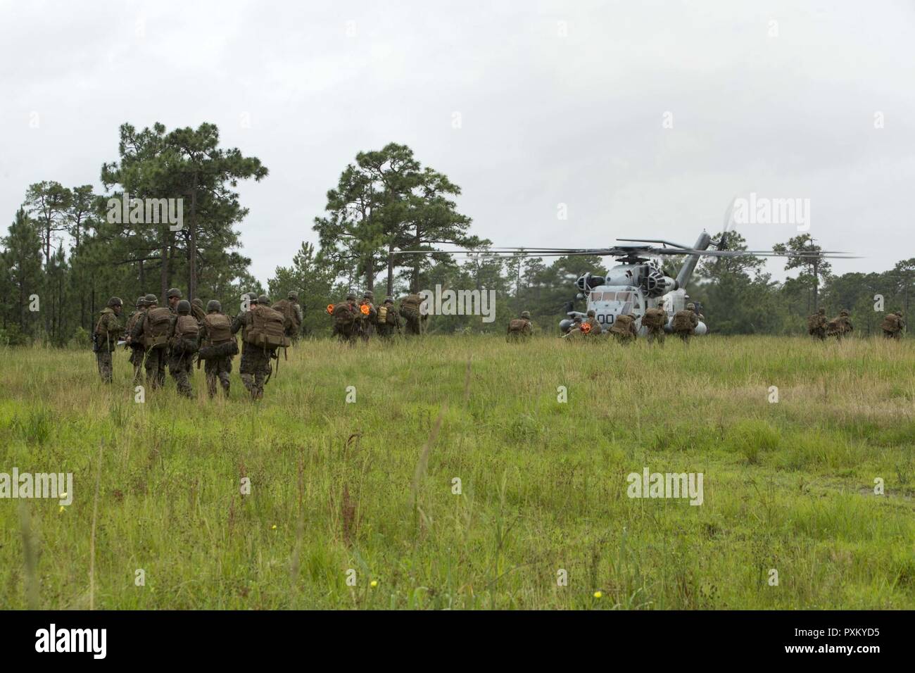 U.S. Marines with Alpha Company, 2d Combat Engineer Battalion,(2D CEB ...