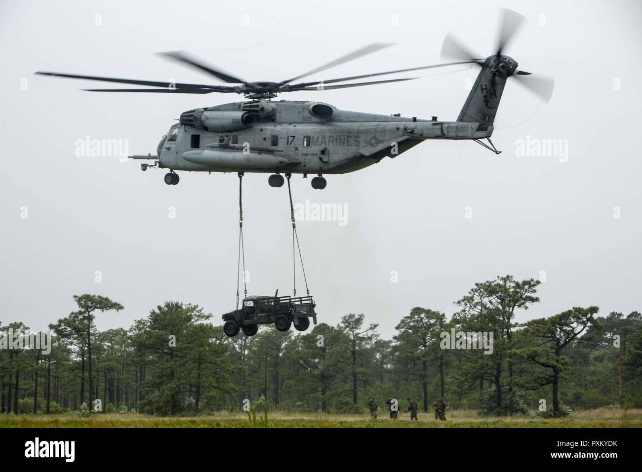 U.S. Marines with Alpha Company, 2d Combat Engineer Battalion,(2D CEB ...