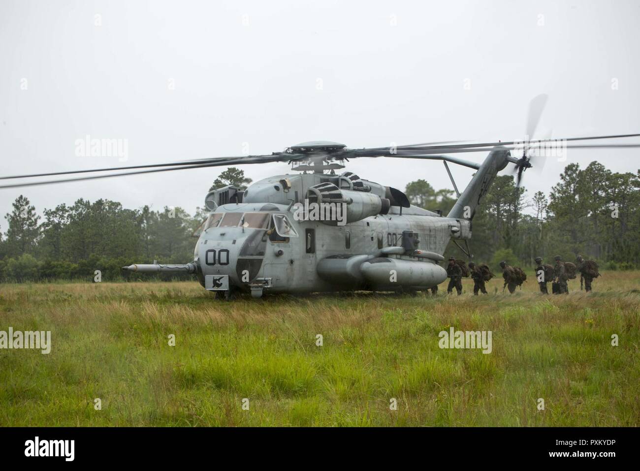 U.S. Marines with Alpha Company, 2d Combat Engineer Battalion,(2D CEB ...
