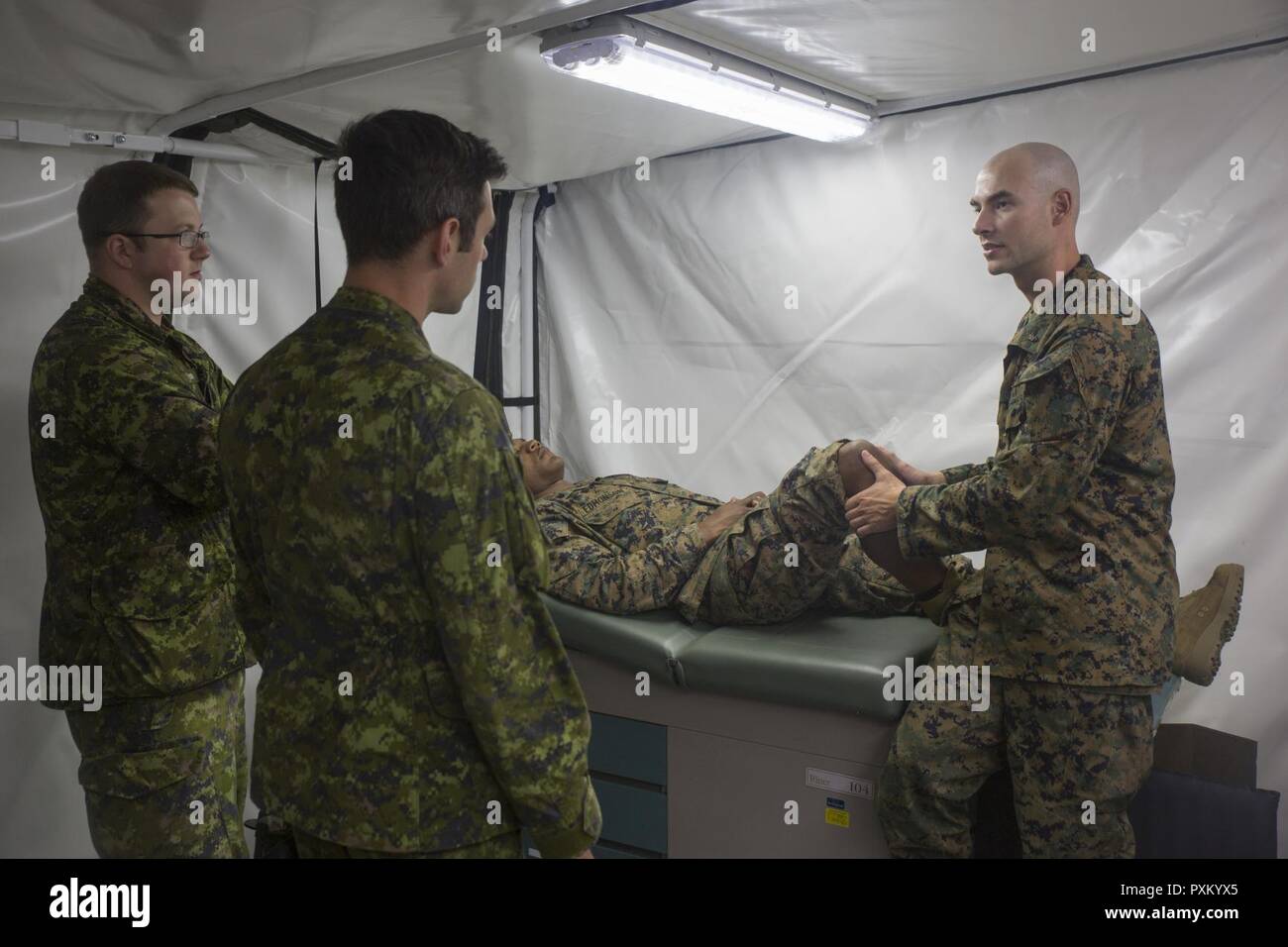 Mwss 472 hi-res stock photography and images - Alamy