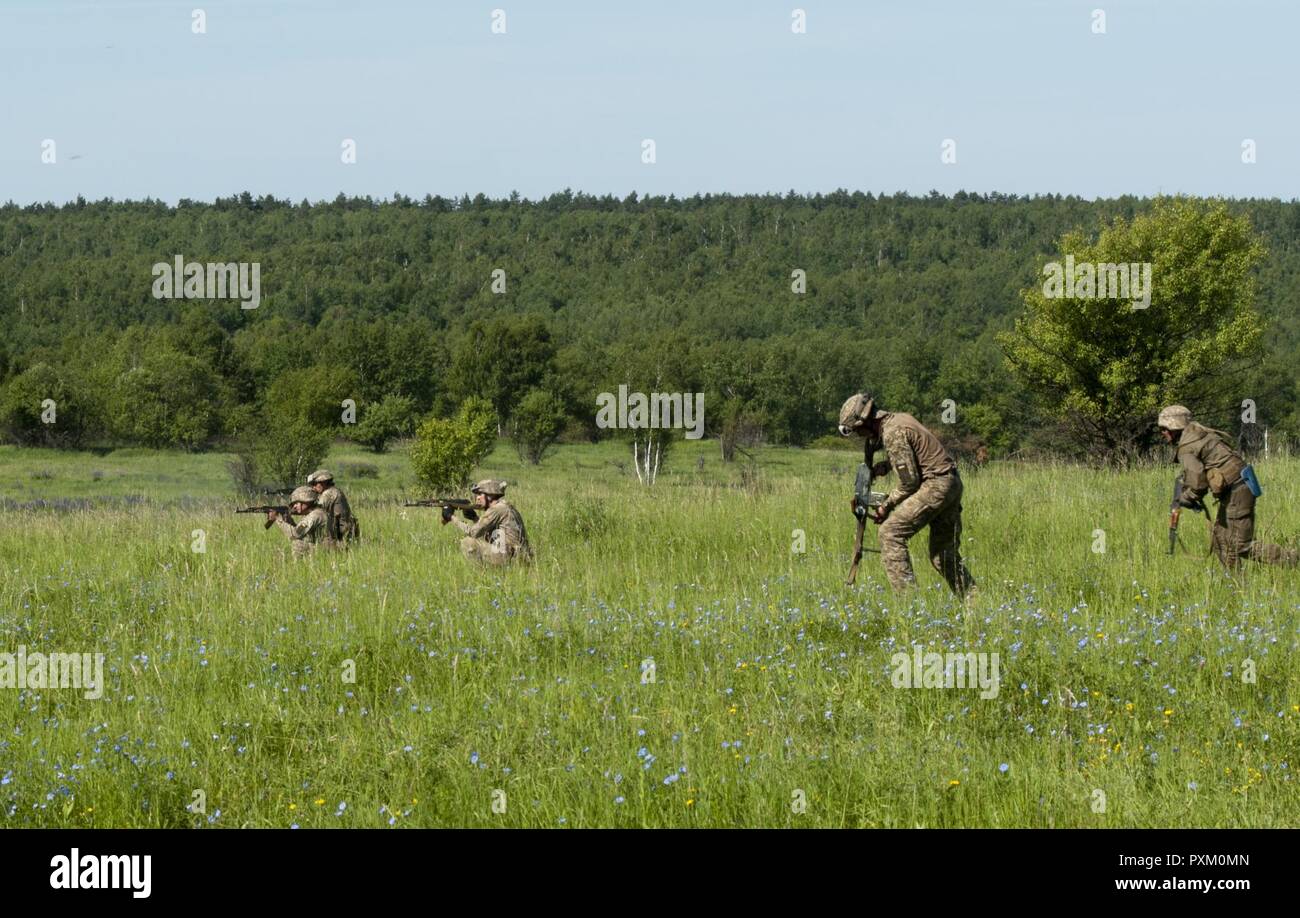 The bounding over watch hi-res stock photography and images - Alamy