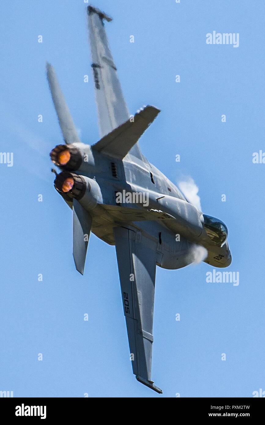 The U.S. Navy Tactical Demonstration Team executes tactical maneuvers ...