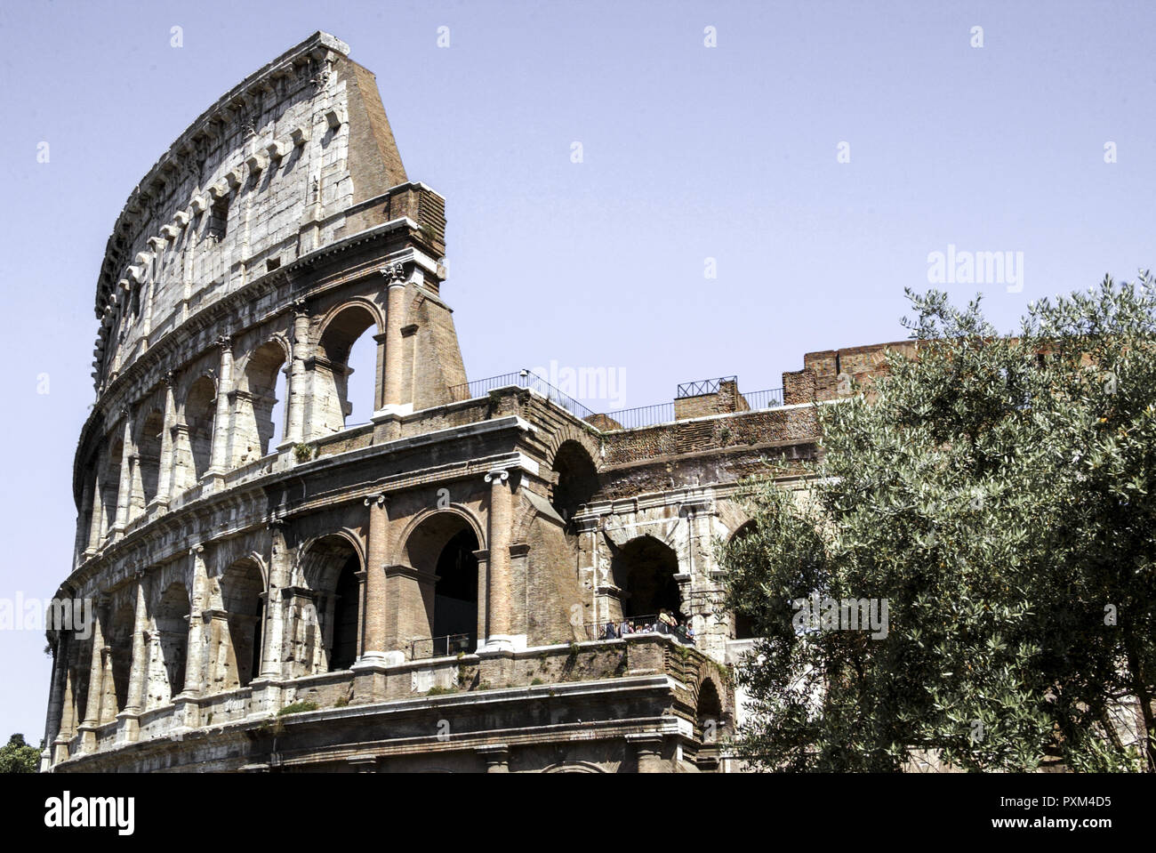 Vista colosseo hi-res stock photography and images - Alamy