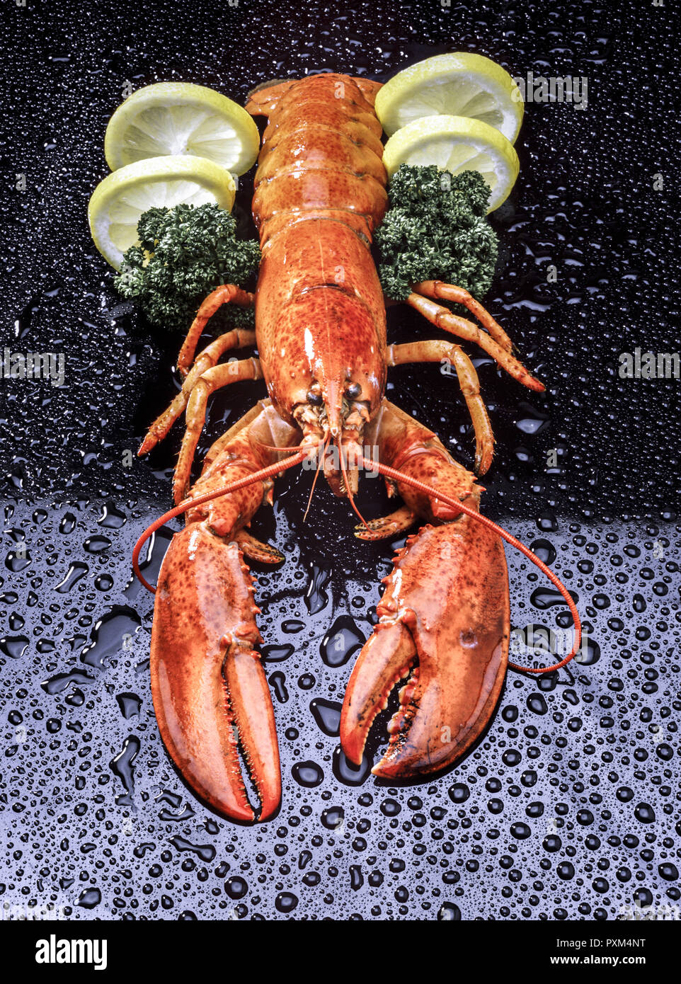 lobster with lemon and parsley Stock Photo - Alamy