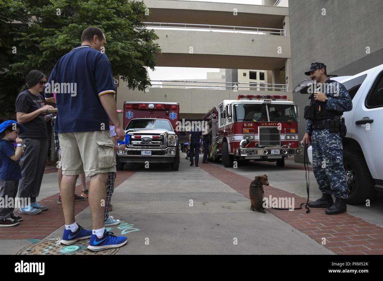 Reunion harrier hi-res stock photography and images - Alamy