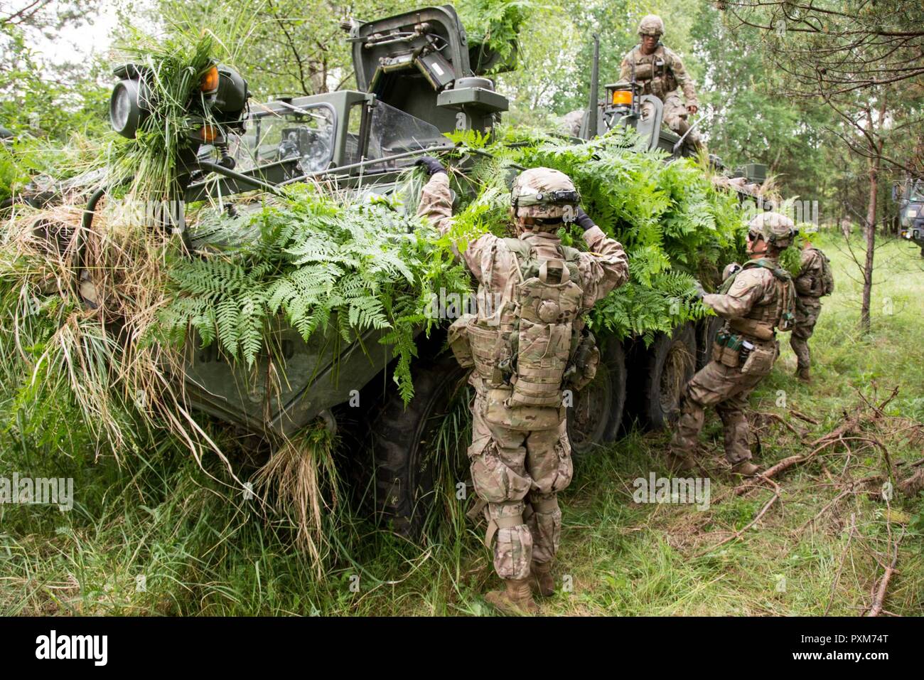 Battle Group Poland U.S. Soldiers camouflage their vehicle at the ...
