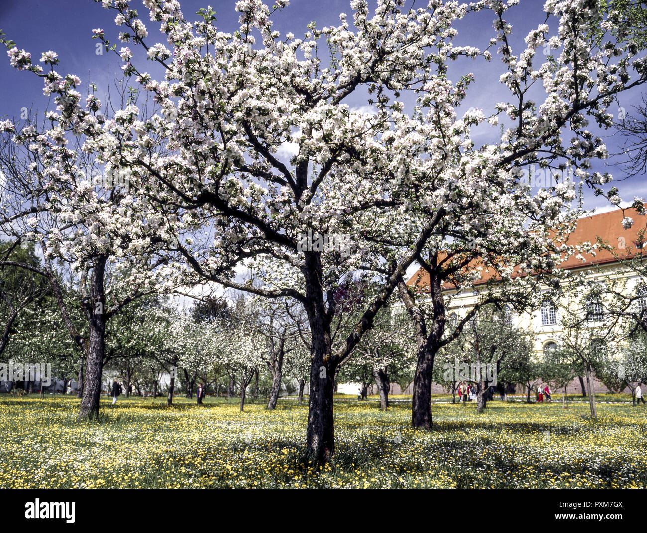 Germany, springtime in a park in Dachau Stock Photo - Alamy