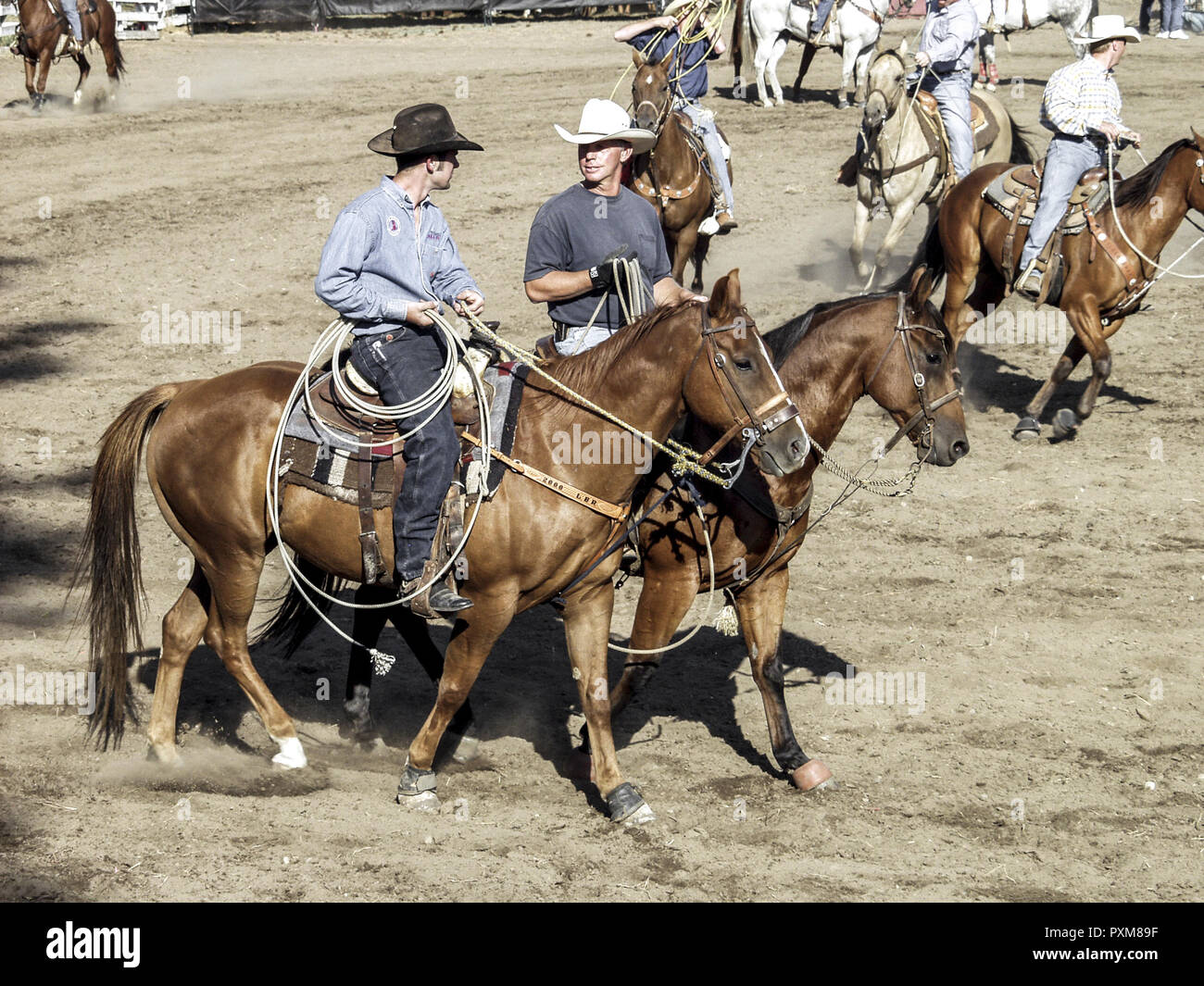 cowboys in Canada Stock Photo - Alamy