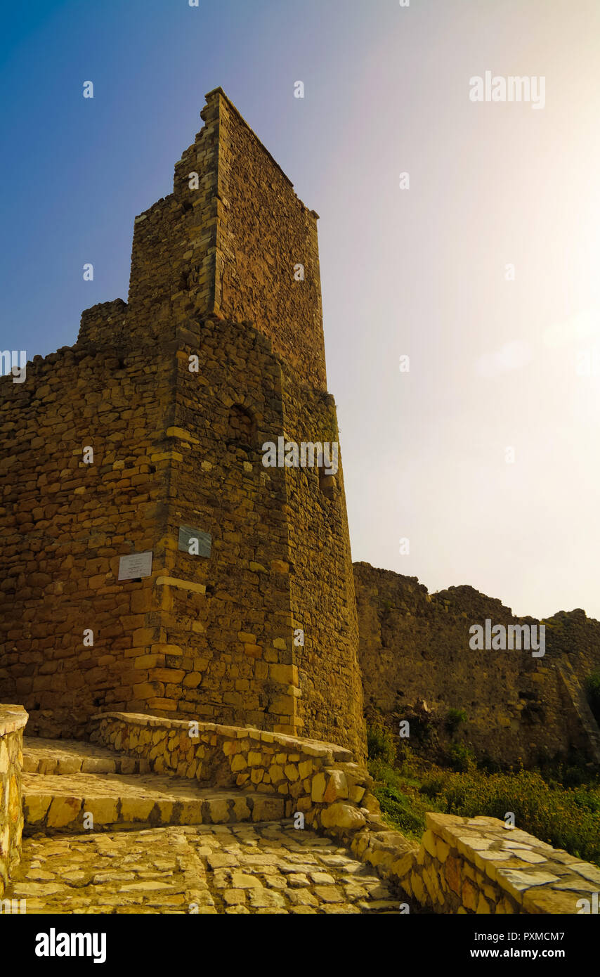 Kanine hi-res stock photography and images - Alamy