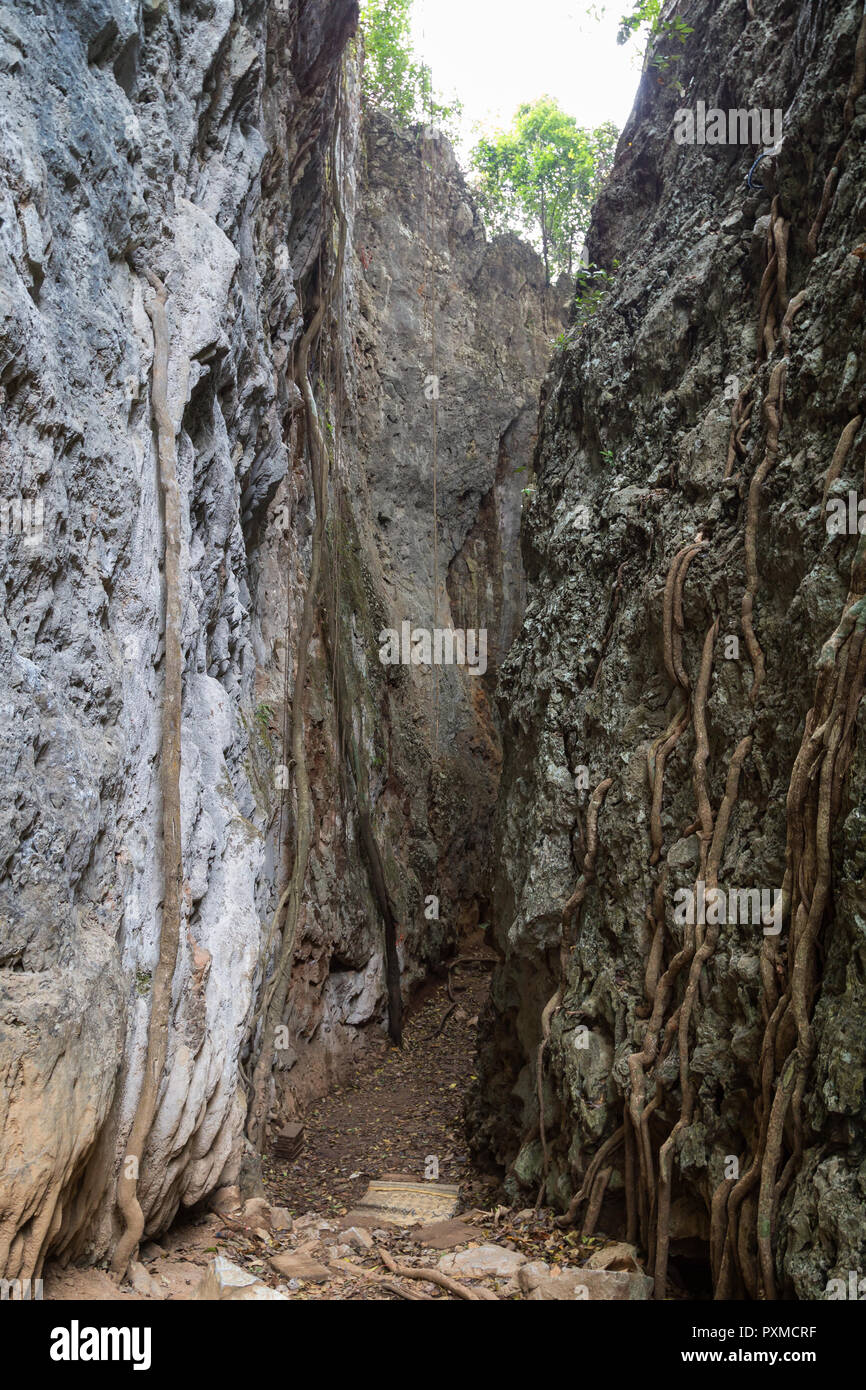 A narrow canyon with two steep, tall and huge limestone faces with tree ...