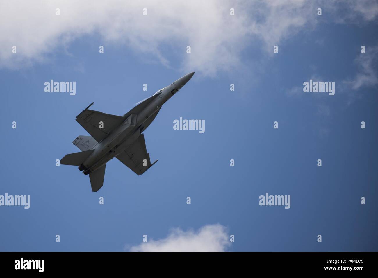 The U.S. Navy Tactical Demonstration Team executes tactical maneuvers ...
