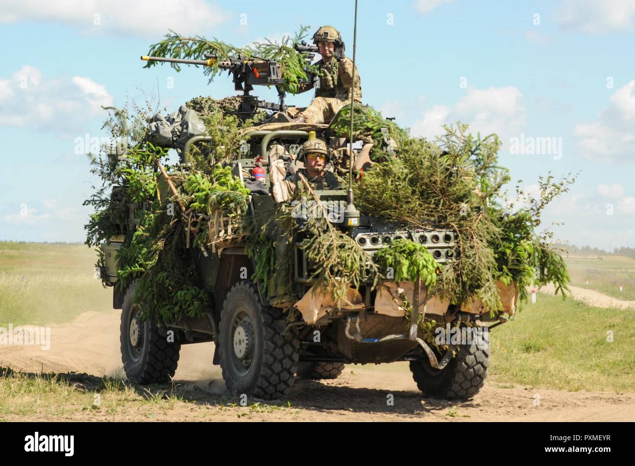 Jackal Vehicle Stock Photos & Jackal Vehicle Stock Images - Alamy