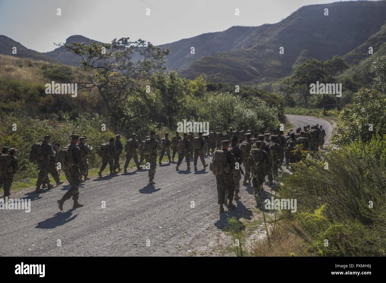 U.S. Marines with Combat Logistics Battalion 5, Combat Logistics ...