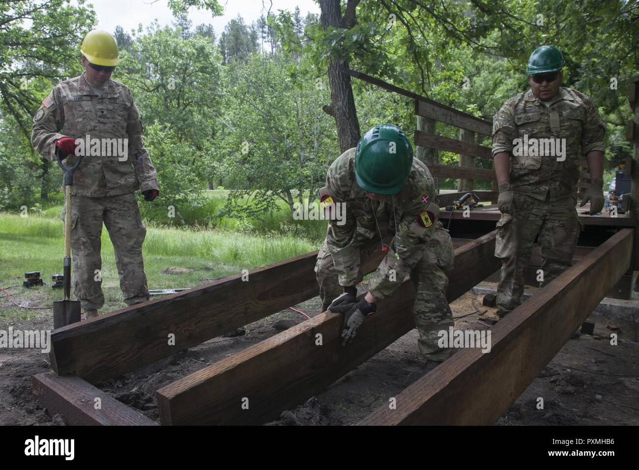 Soldiers of the 3rd Construction Battalion, Danish Army, and the 155th ...