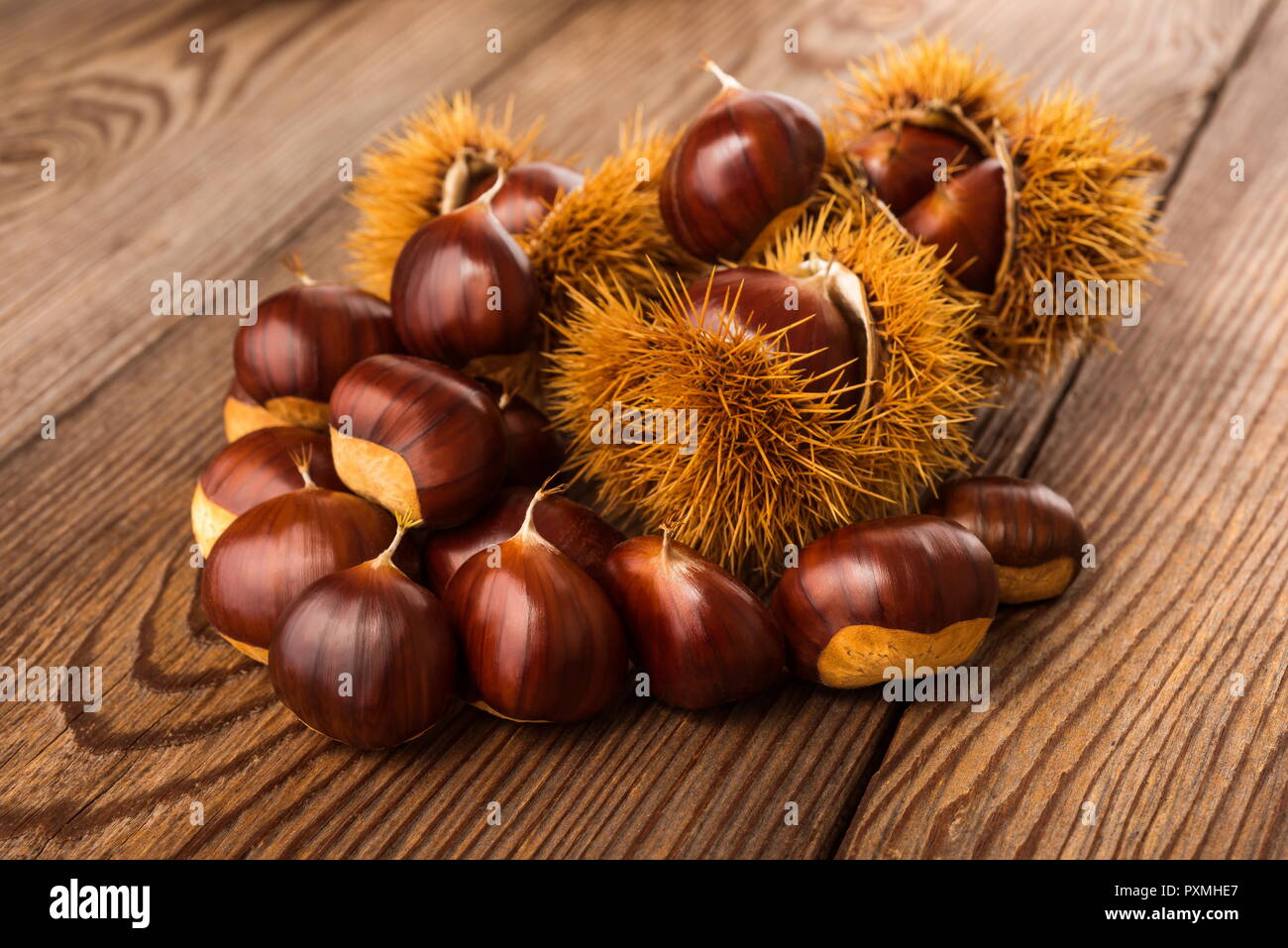 American chestnut leaves hi-res stock photography and images - Alamy