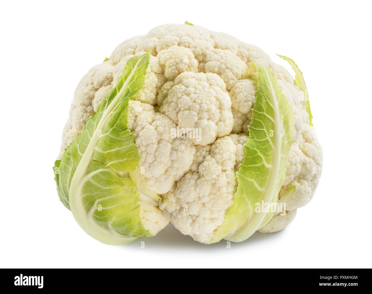White cauliflower isolated on white background Stock Photo - Alamy