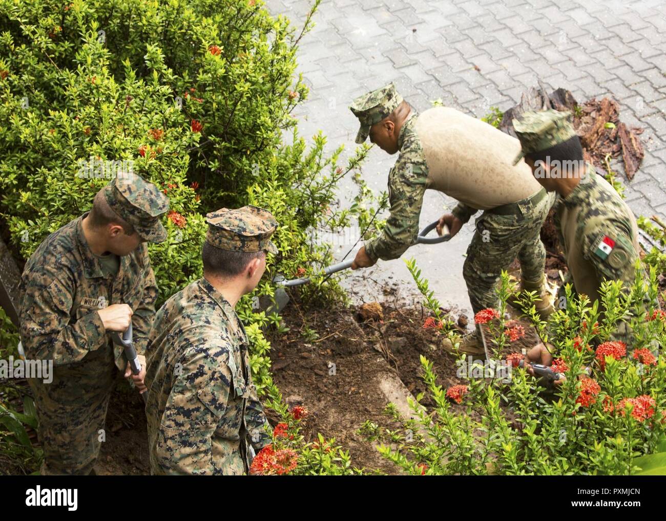 U.S. Marines with Combat Logistics Battalion 23, 4th Marine Logistics ...