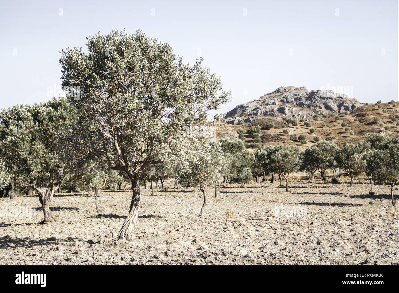 Griechenland, Insel Lesbos, Sigri, Europa, Mittelmeerinsel, Mittelmeer ...