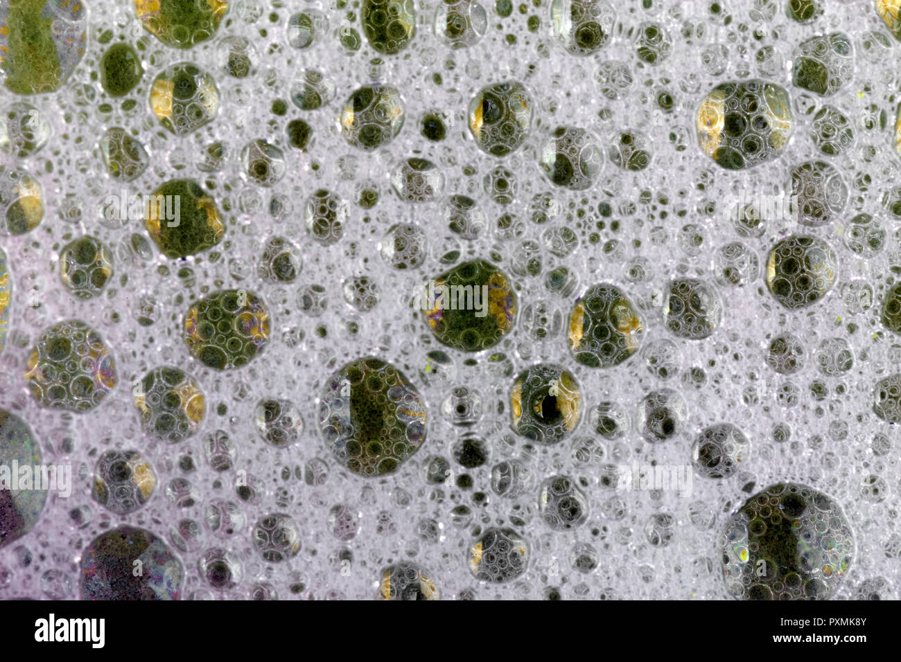 photo of foam with bubbles, closeup background image Stock Photo - Alamy