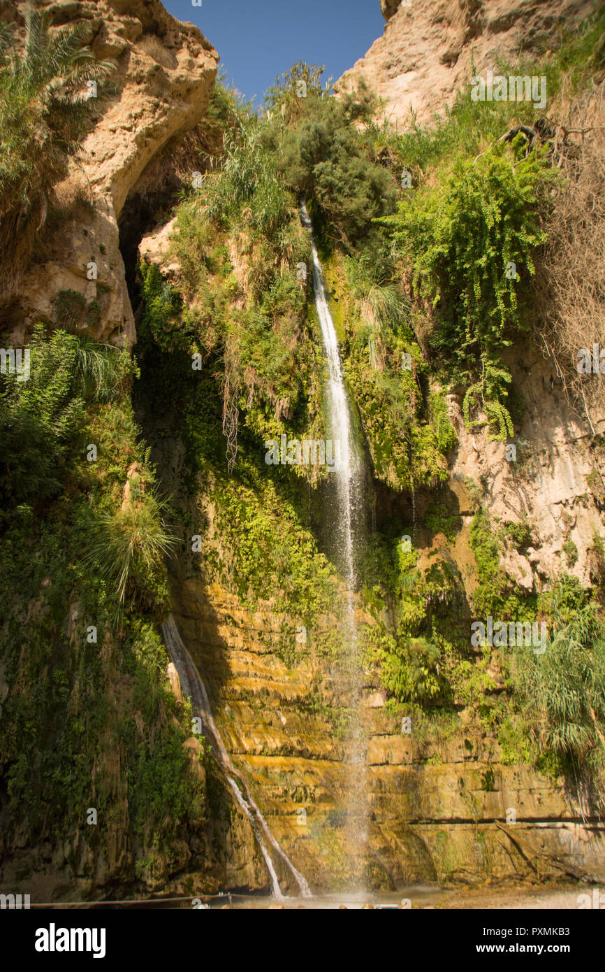 Waterfall at Ein Gedi National Park, a green Oasis in the desert close ...