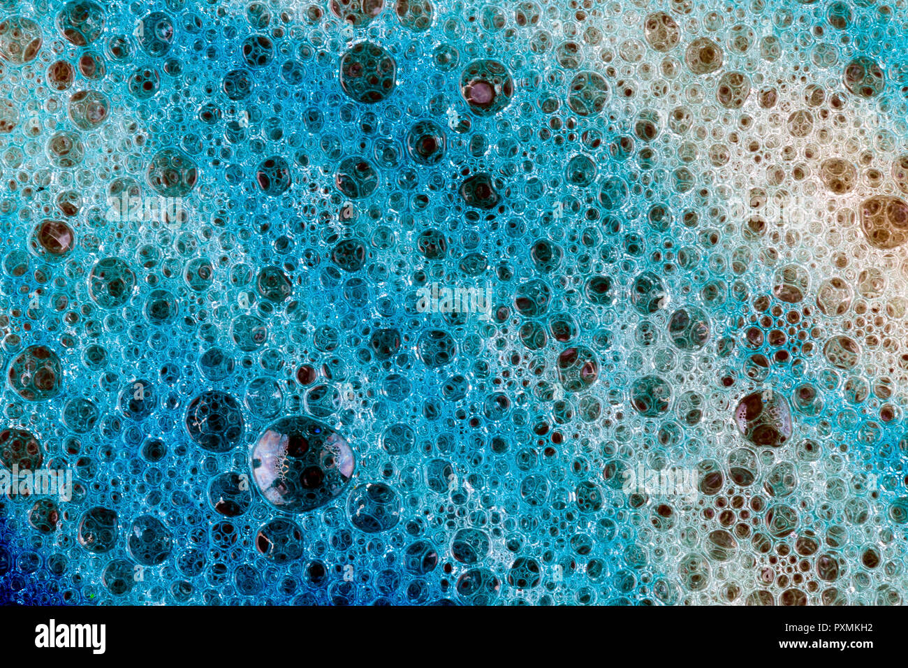 photo of colored foam with bubbles, closeup background image Stock ...