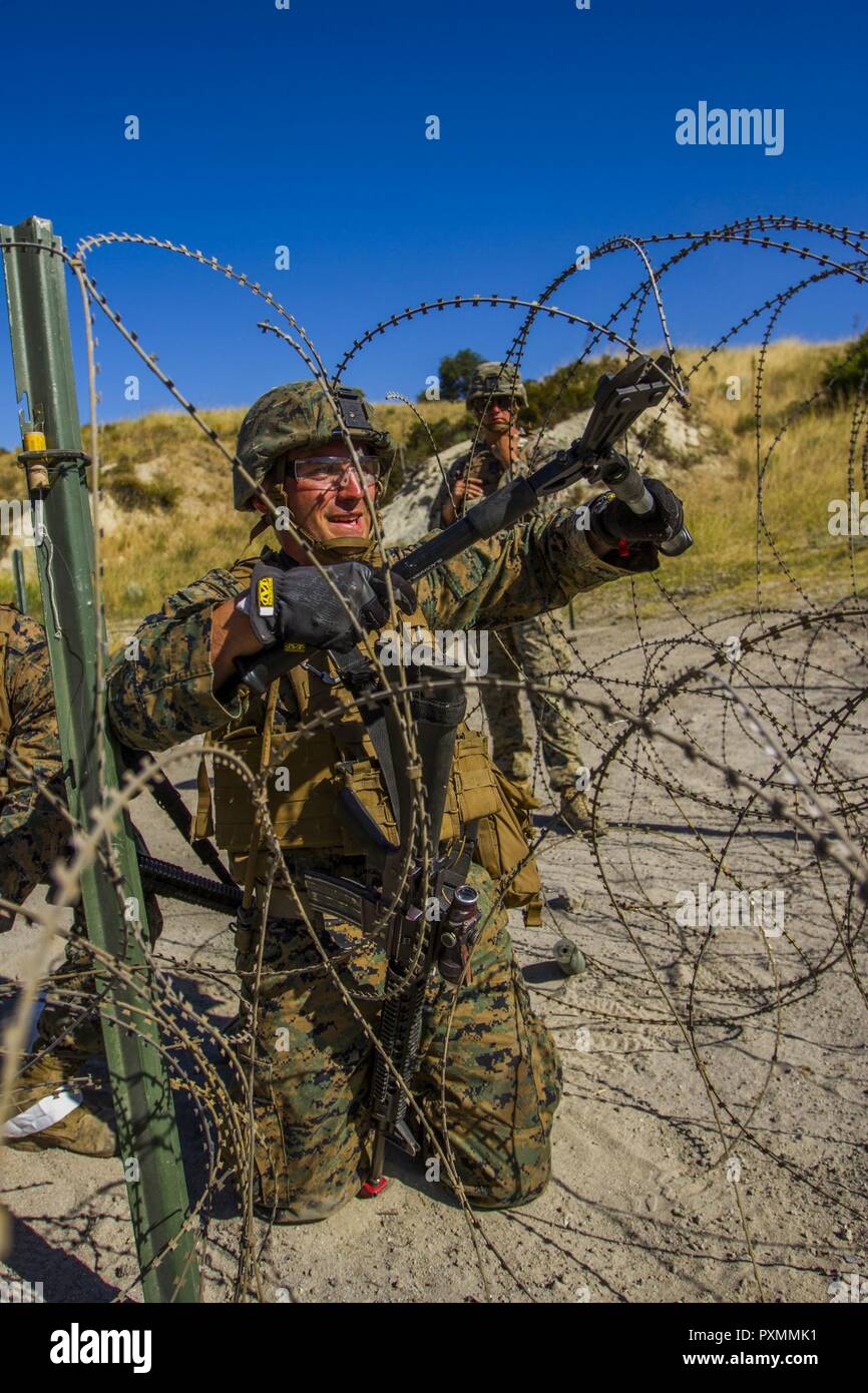 A Marine with 4th Combat Engineers Battalion, 4th Marine Division, cuts ...