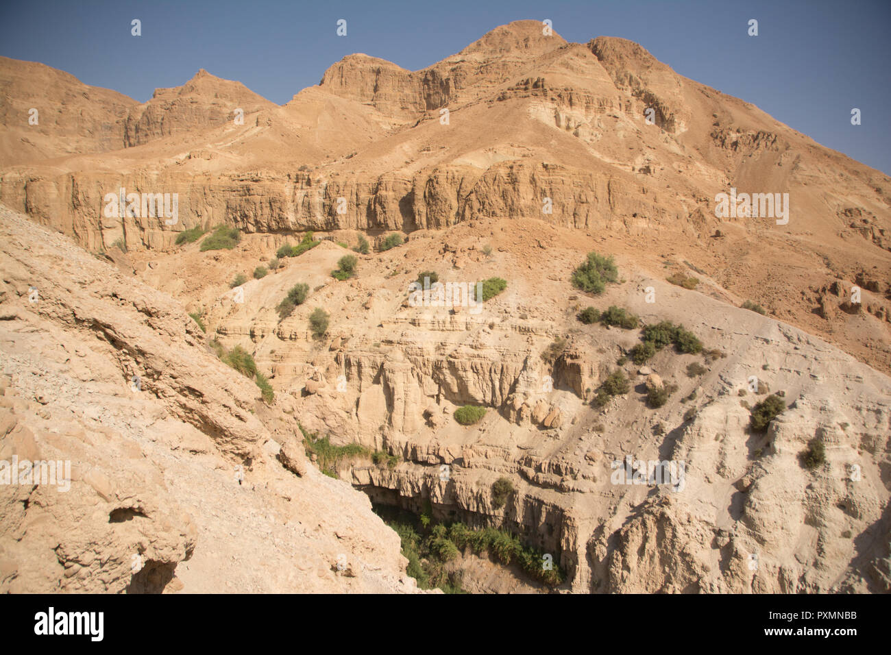 En gedi hi-res stock photography and images - Alamy
