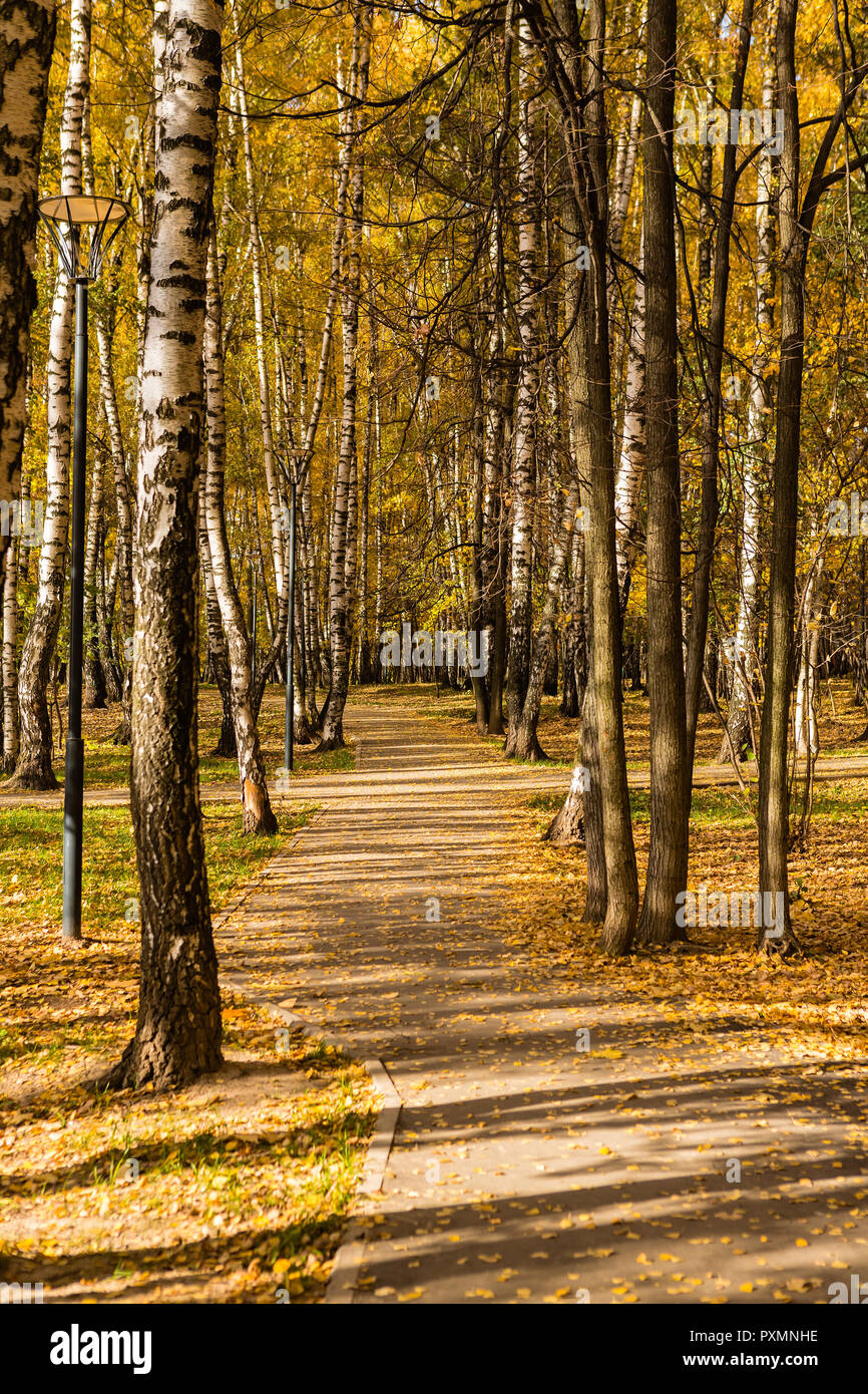 Golden autumn in russia hi-res stock photography and images - Alamy