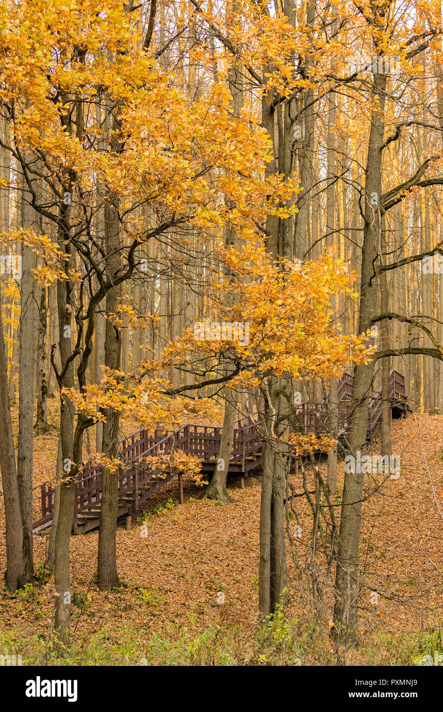 Wood season hi-res stock photography and images - Alamy
