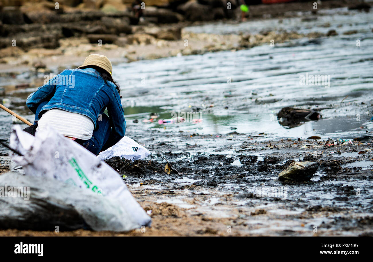 Volunteers sit and picking up garbage on the beach. Beach cleaner ...