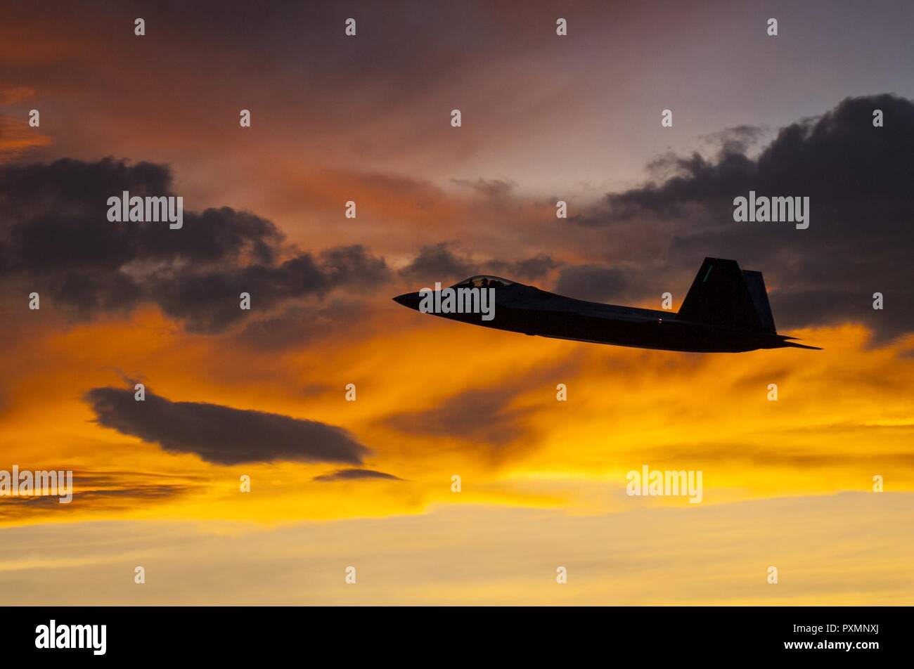 An F-22 Raptor from the 433rd Weapons Squadron, Nellis Air Force Base ...