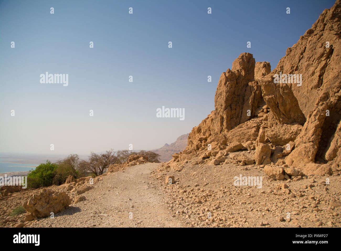 Panorama oasis near dead sea hi-res stock photography and images - Alamy