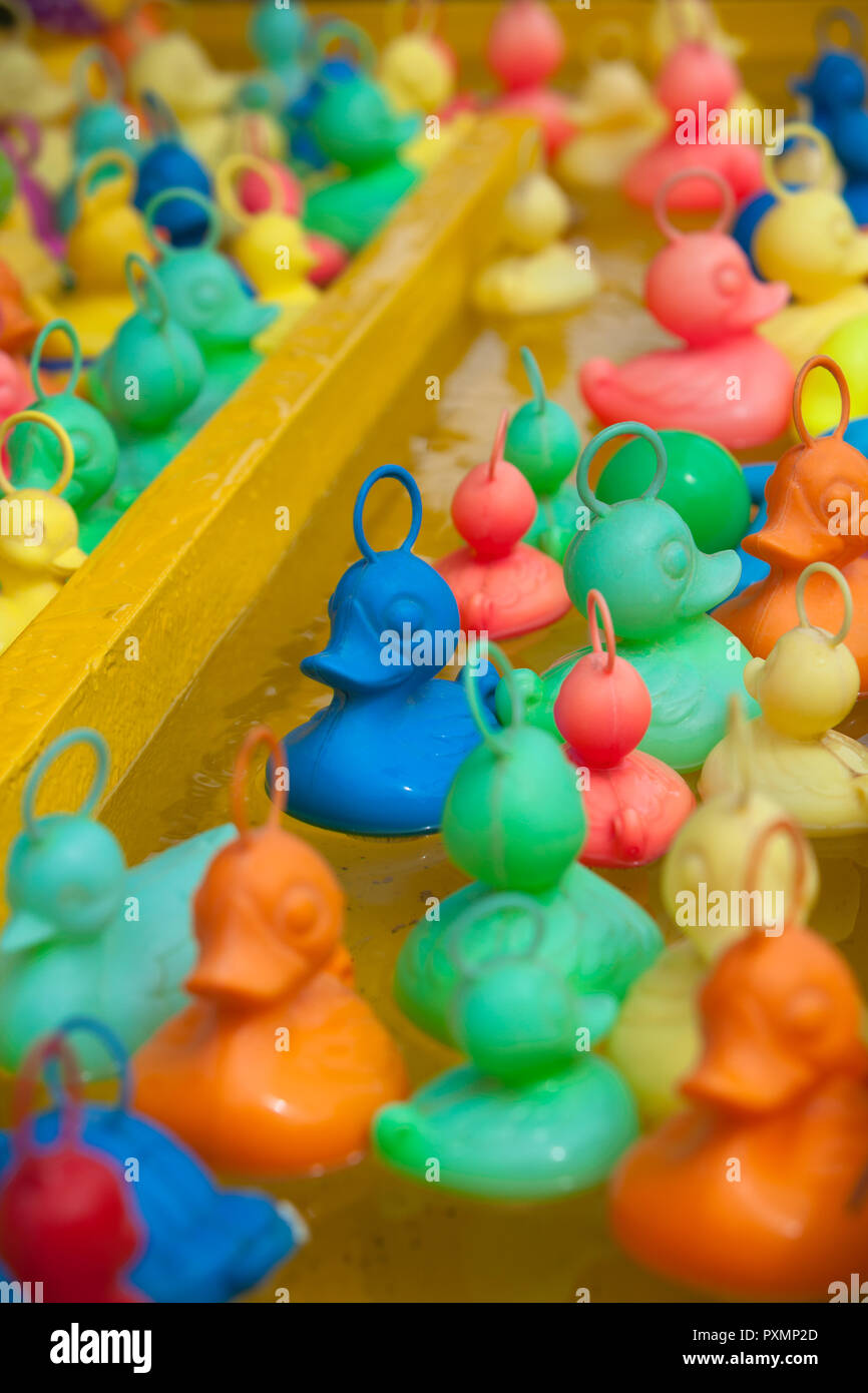 Numerous colourful palstic ducks floating in water at a funfair Stock ...