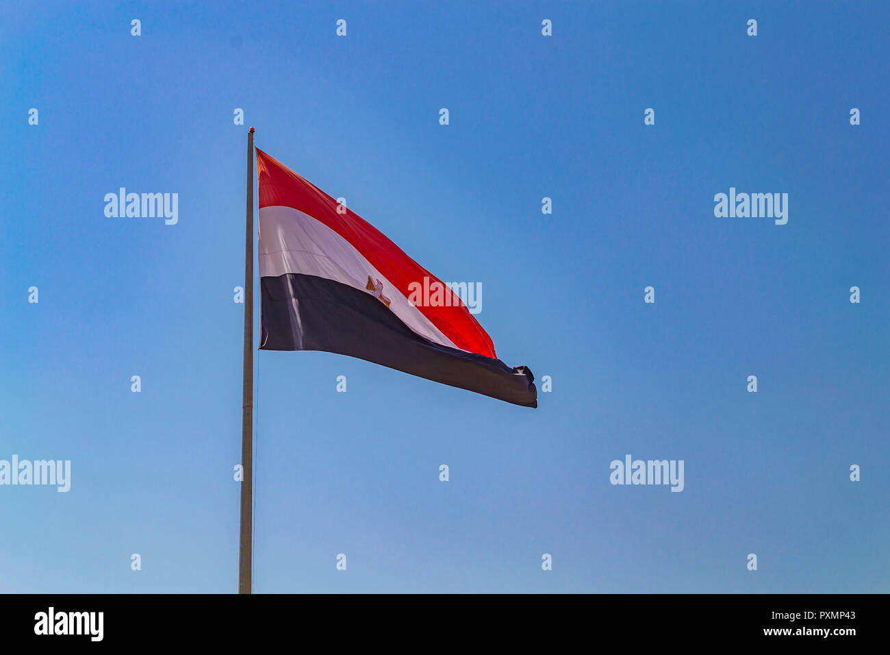 Egypt egyptian flag isolated hi-res stock photography and images - Alamy
