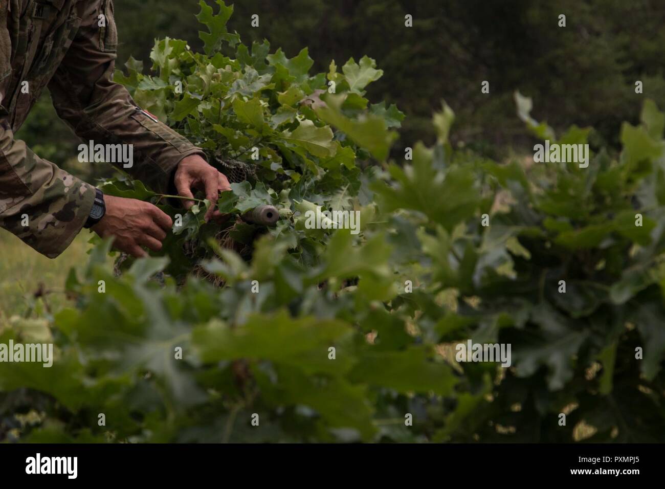 33rd infantry brigade combat team hi-res stock photography and images ...