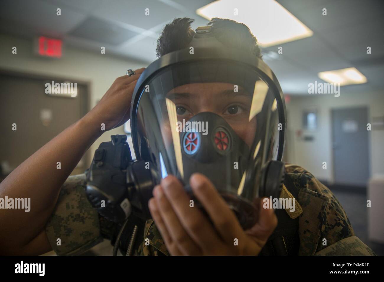 Drsko hi-res stock photography and images - Alamy