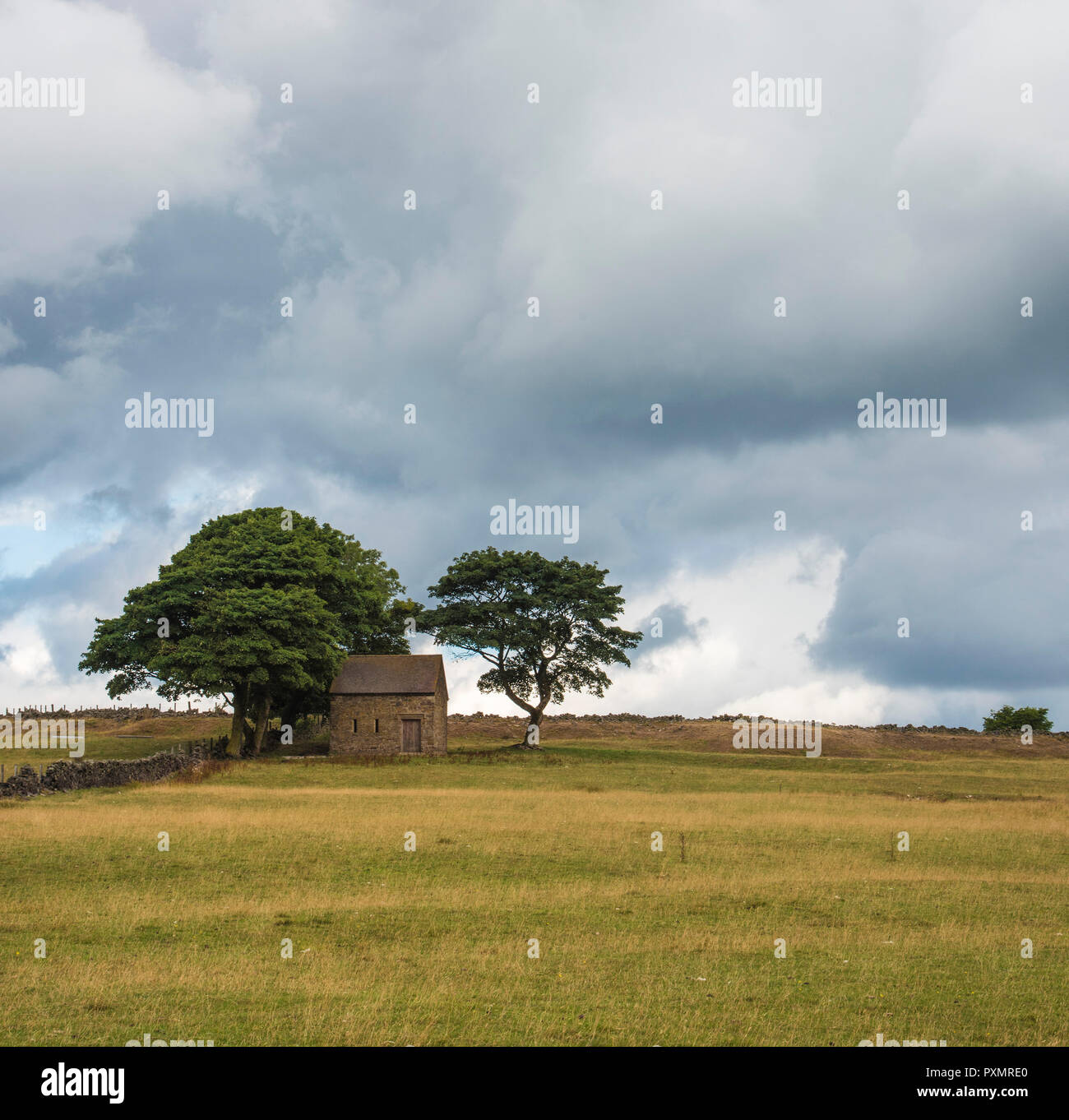 An old brick built barn shaded by mature trees in the Derbyshire Peak ...