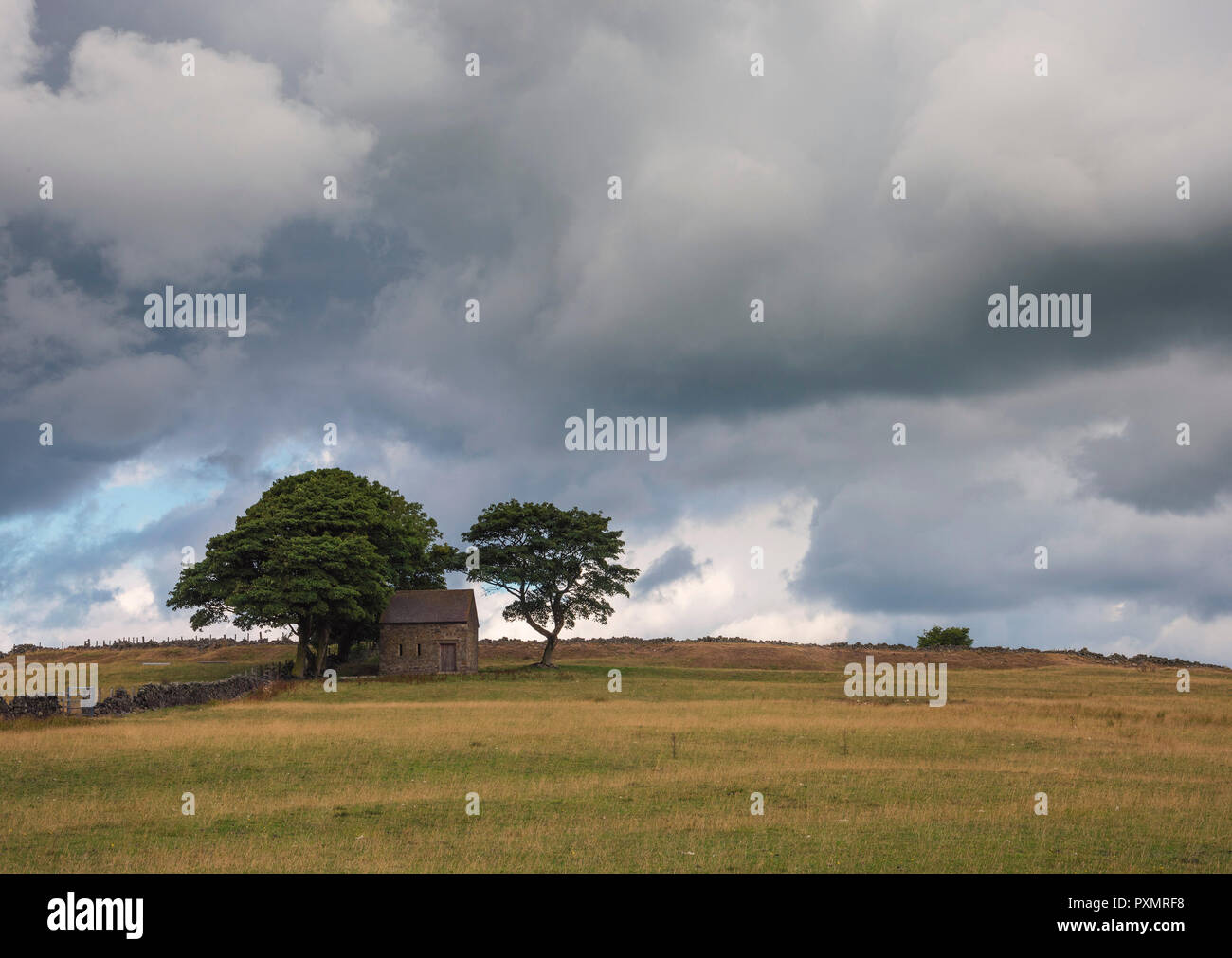 An old brick built barn shaded by mature trees in the Derbyshire Peak ...