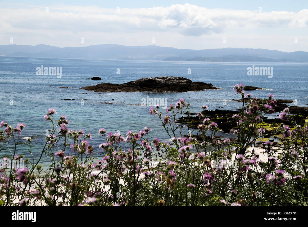 Isla de Ons Parque Nacional Islas Atlánticas de Galicia Stock Photo - Alamy
