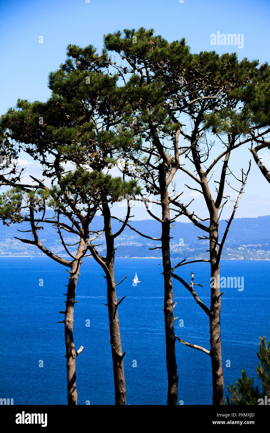 Isla de Ons Parque Nacional Islas Atlánticas de Galicia Stock Photo - Alamy