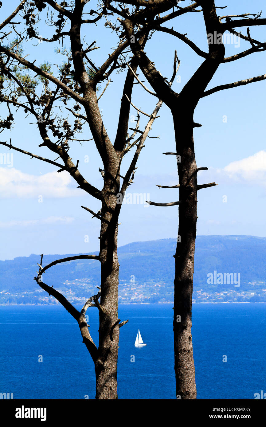 Isla de Ons Parque Nacional Islas Atlánticas de Galicia Stock Photo - Alamy