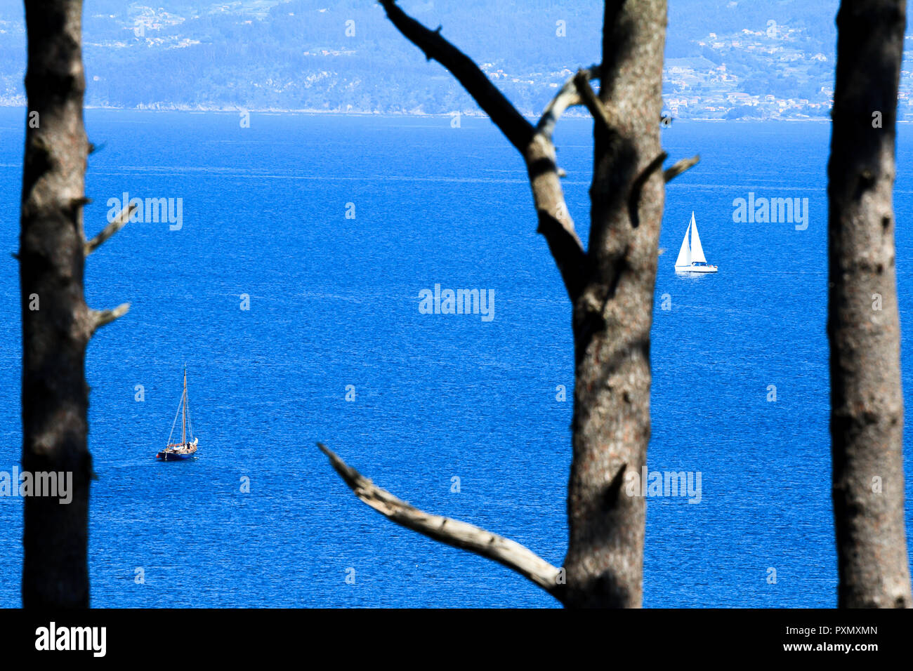 Isla de Ons Parque Nacional Islas Atlánticas de Galicia Stock Photo - Alamy