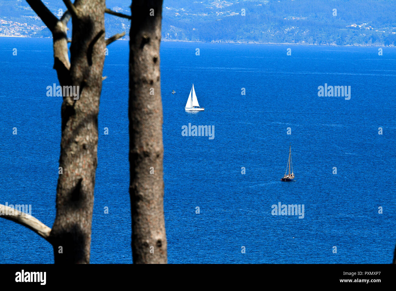 Isla de Ons Parque Nacional Islas Atlánticas de Galicia Stock Photo - Alamy
