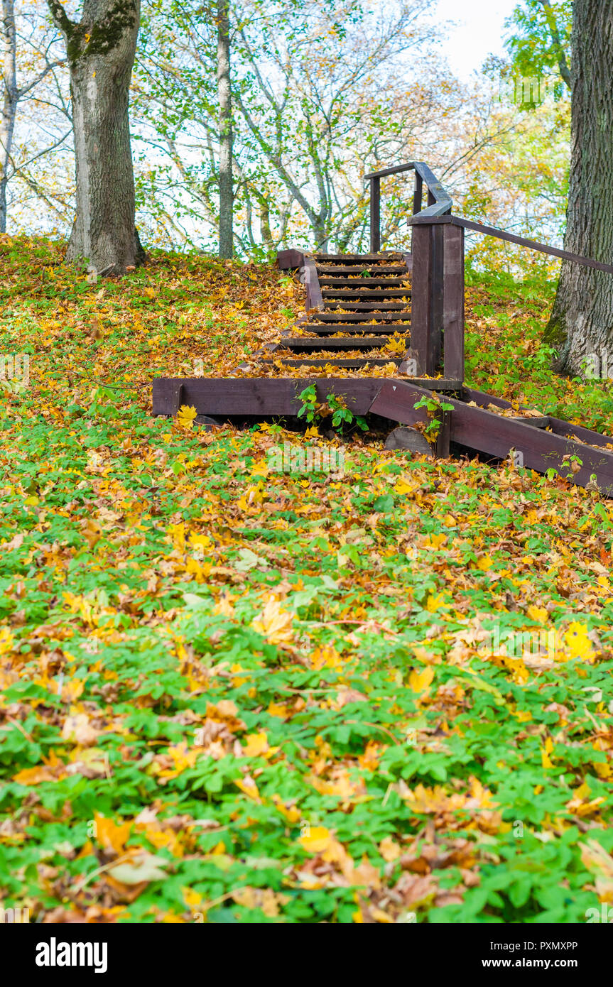 Young Indian Summer with all its glory. Cozy walking paths through the ...